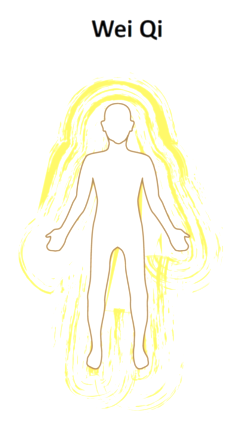 Taichi and Qigong for Lungs and Immunity | Taichi & Qigong for Health